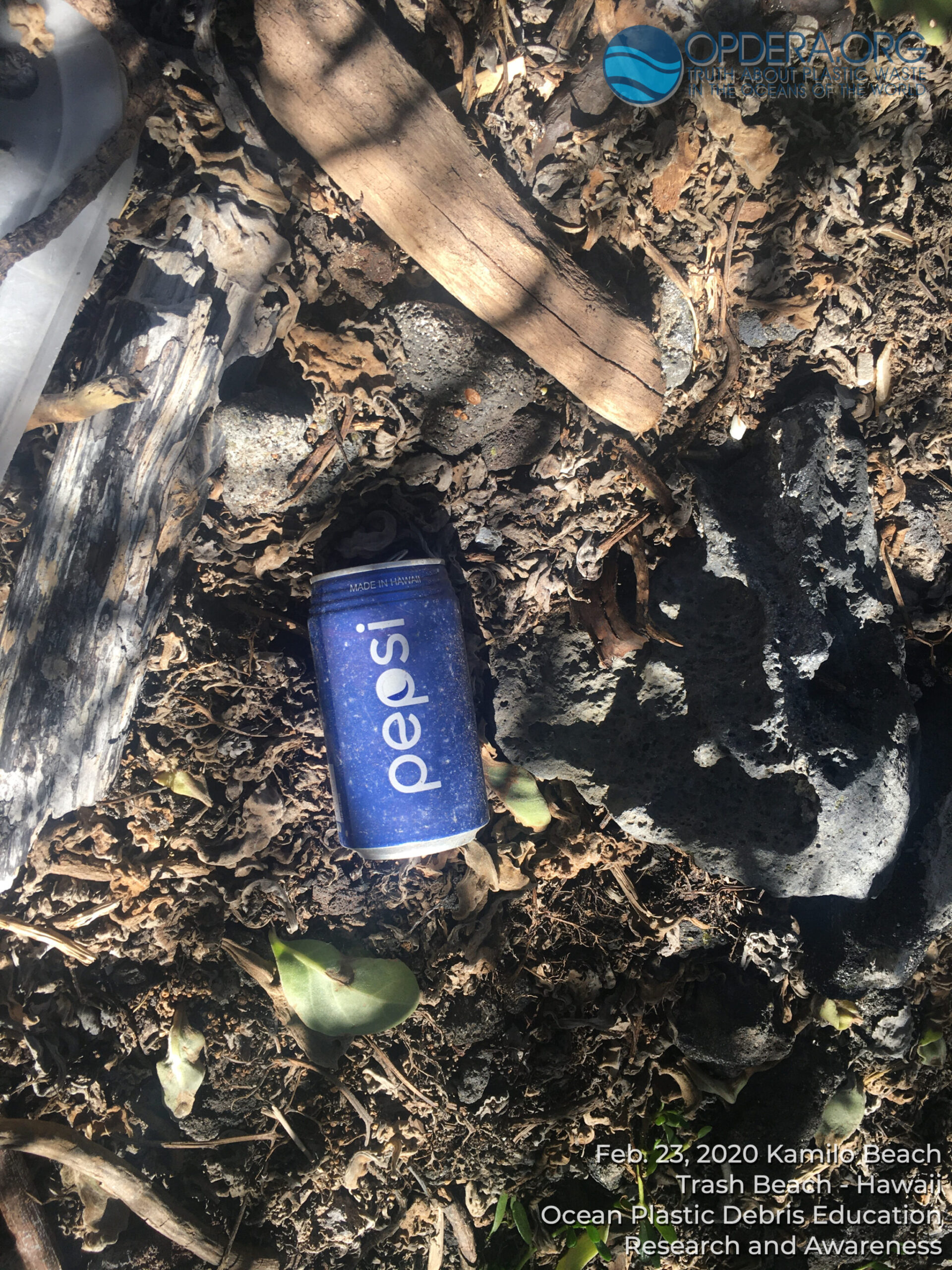 Lawsuit Calls Out Big Plastic | OPDERA.ORG